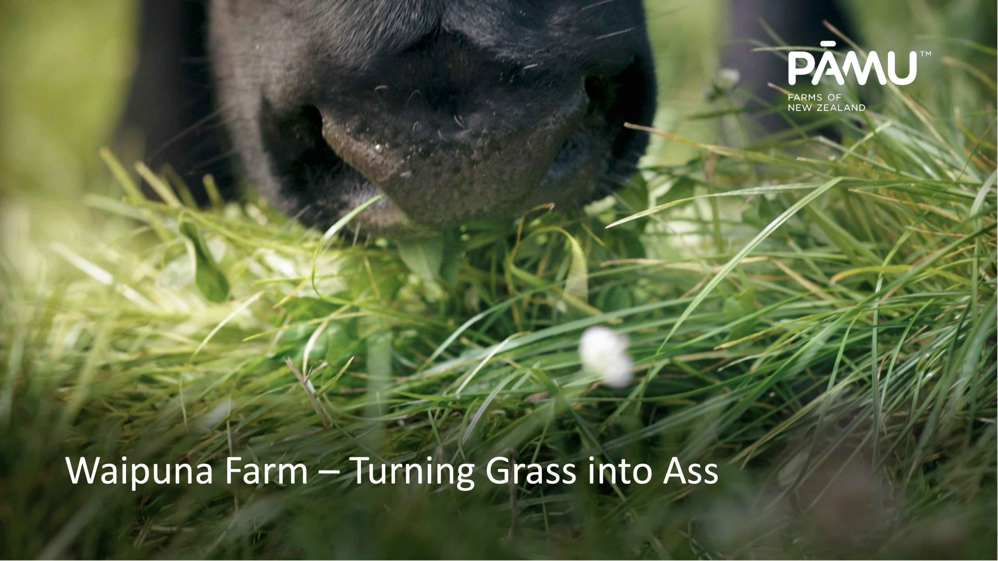 Field Days | Southern Dairy Hub